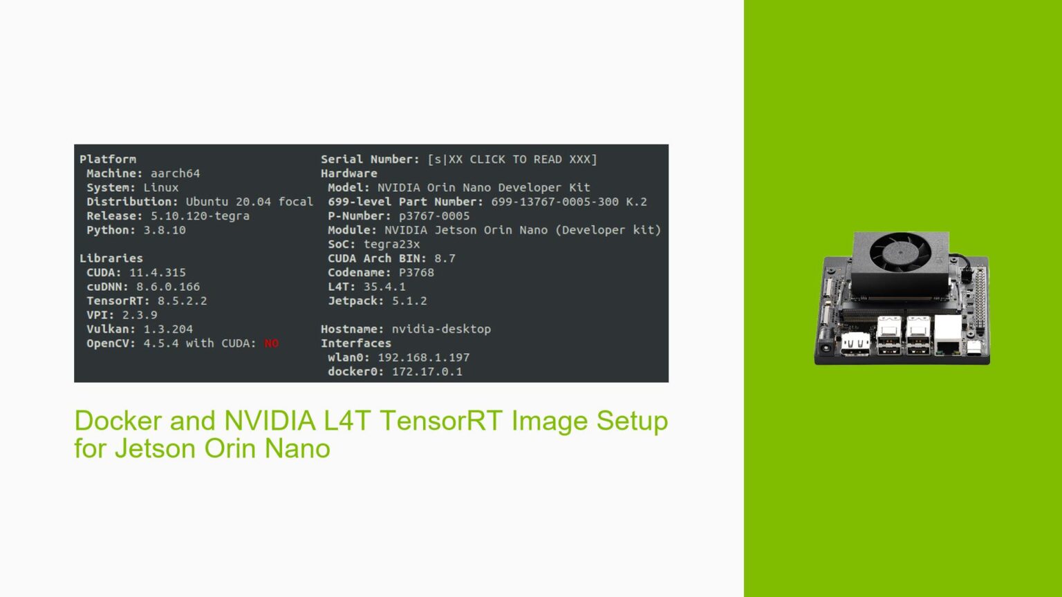 Docker And Nvidia L4t Tensorrt Image Setup For Jetson Orin Nano Help Docs For Errorsissues On